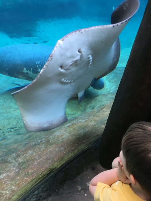 Unlimited ideas for Spring Break in Columbus - Columbus on the Cheap