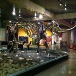 Kids can earn free tokens at Chuck E. Cheese with these offers