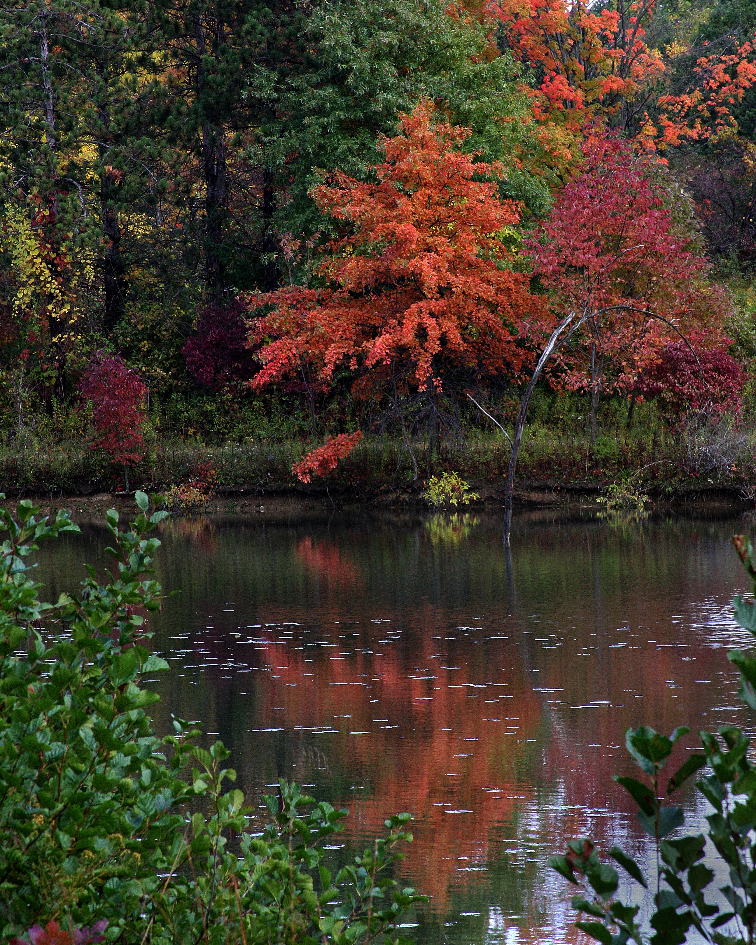 Best hikes and scenic drives for Fall Color in Ohio 2023 - Columbus on ...