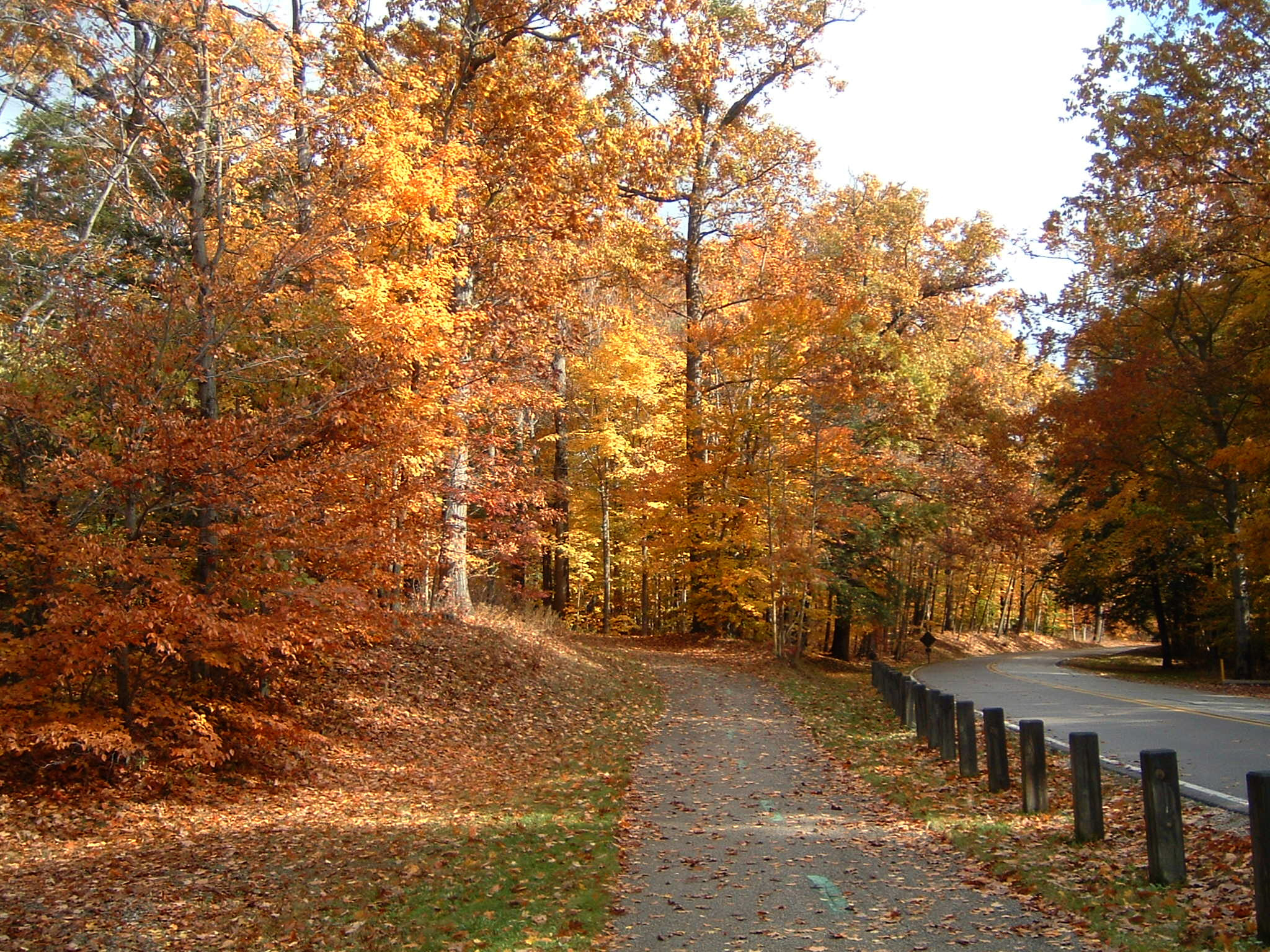 Best hikes and scenic drives for Fall Color in Ohio 2023 - Columbus on ...