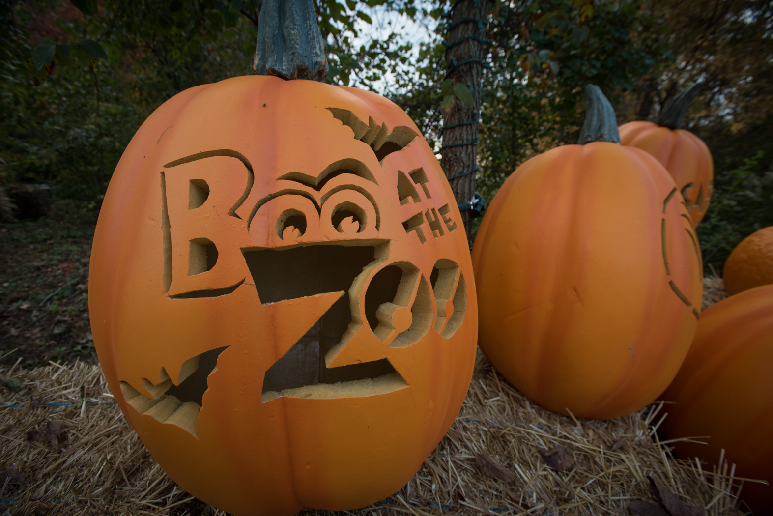 Columbus Zoo and Aquarium Boo at the Zoo is merry, not scary ...