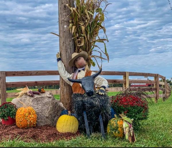 100+ events celebrating Fall and Halloween in Columbus - Columbus on ...