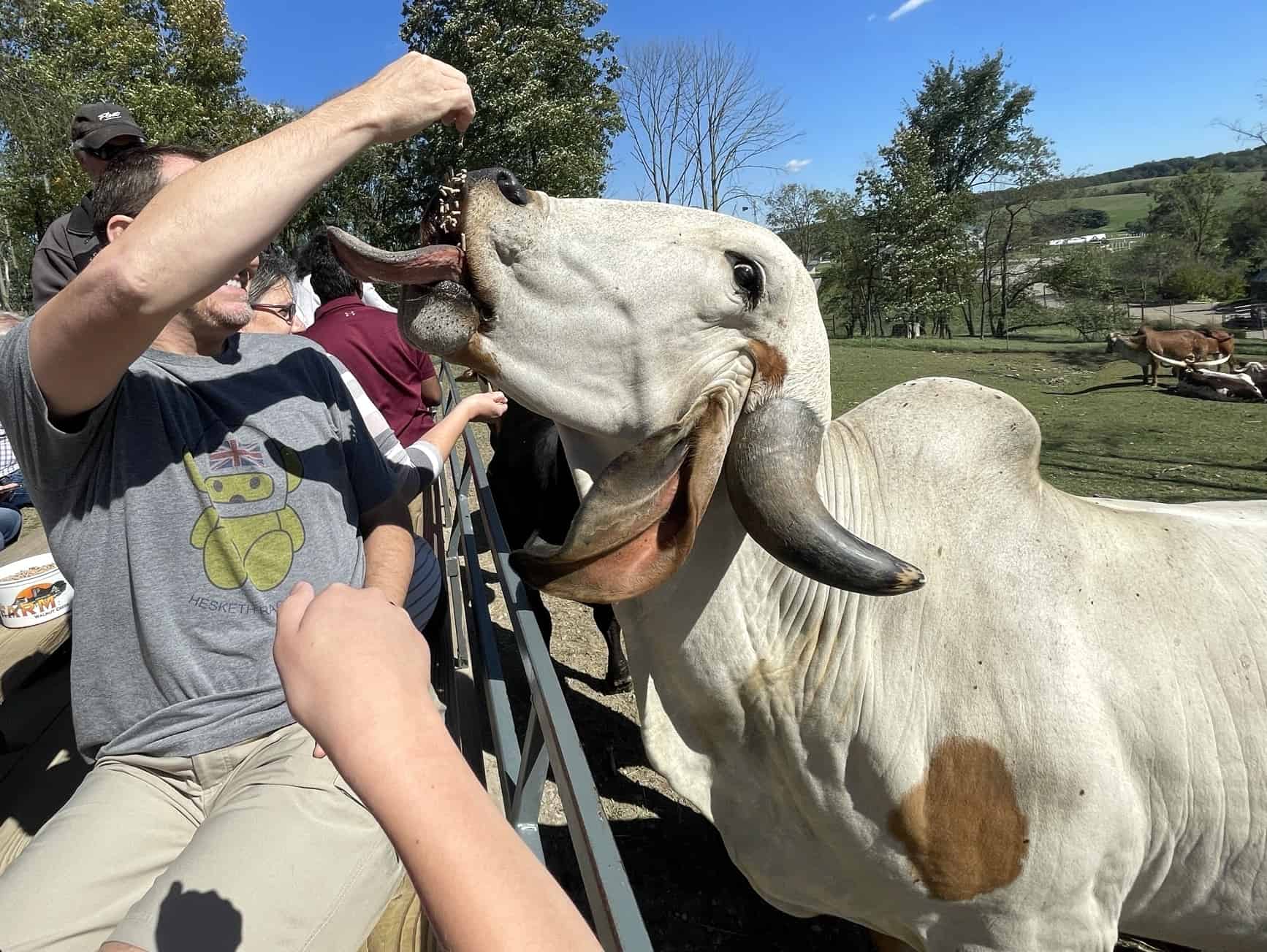 Fall Festival weekends at the Farm at Walnut Creek - Columbus on the Cheap