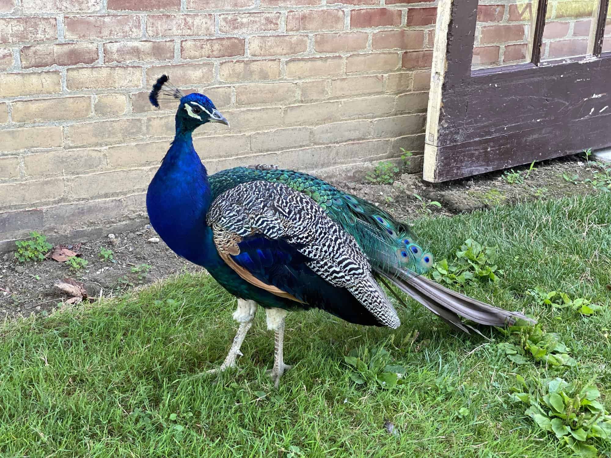 Ohio Travel: Mansfield – Where History Meets Hollywood - Columbus on ...