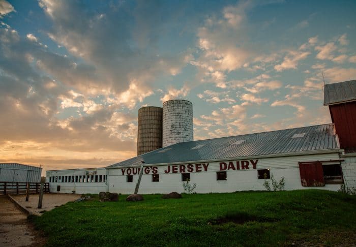 Young’s Jersey Dairy Fun through the year - Columbus on the Cheap